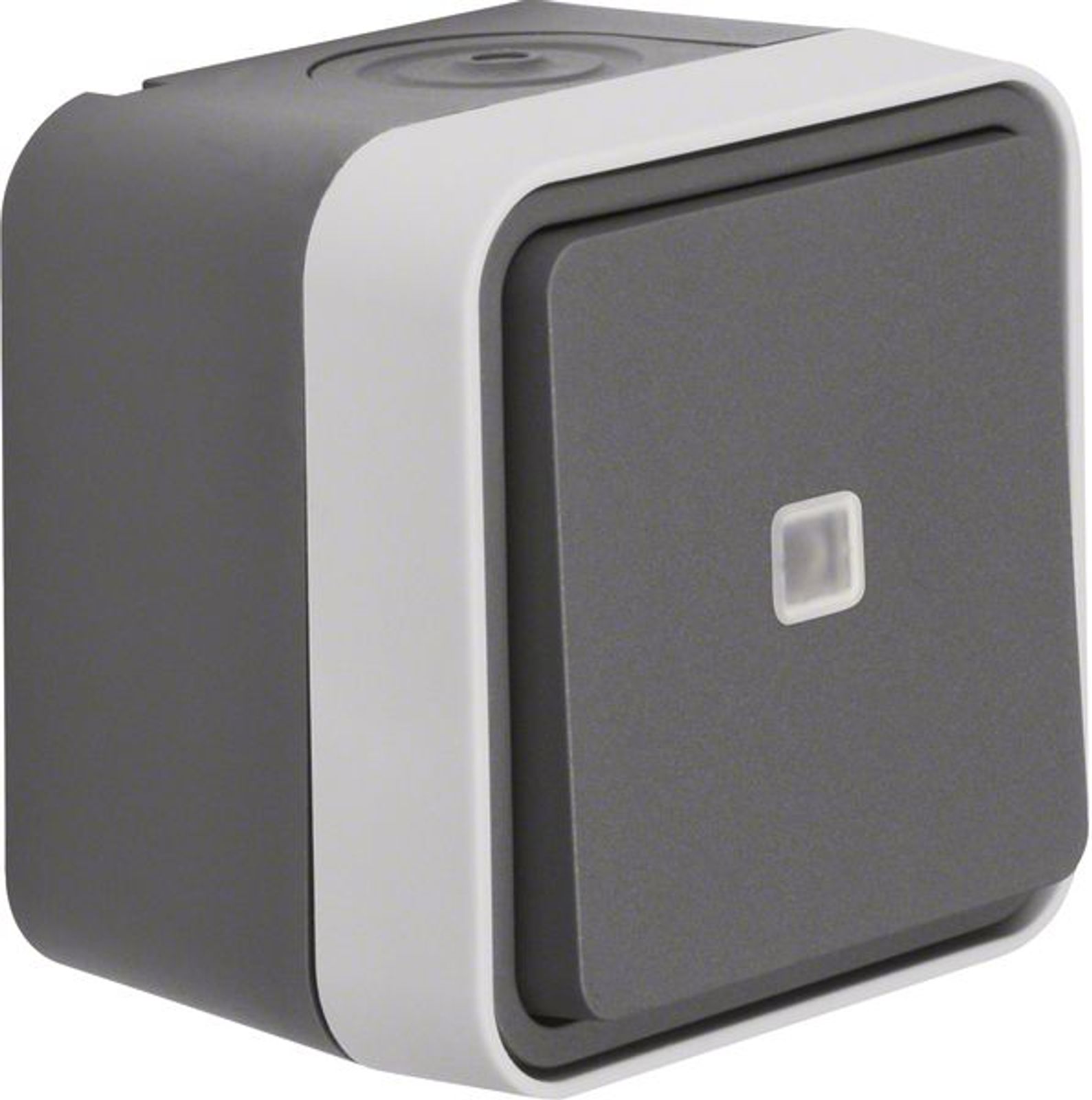 Berker 50763505 Taster, Wechsler beleuchtet AP W.1 grau kaufen