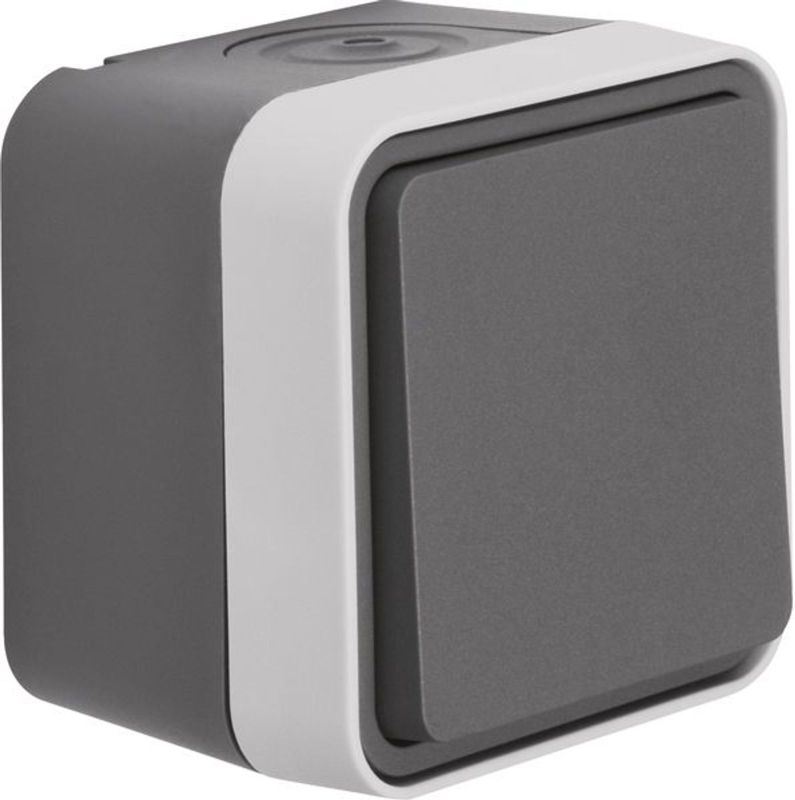 Berker 50453525 Taster, Schließer AP W.1 grau kaufen | Selfio