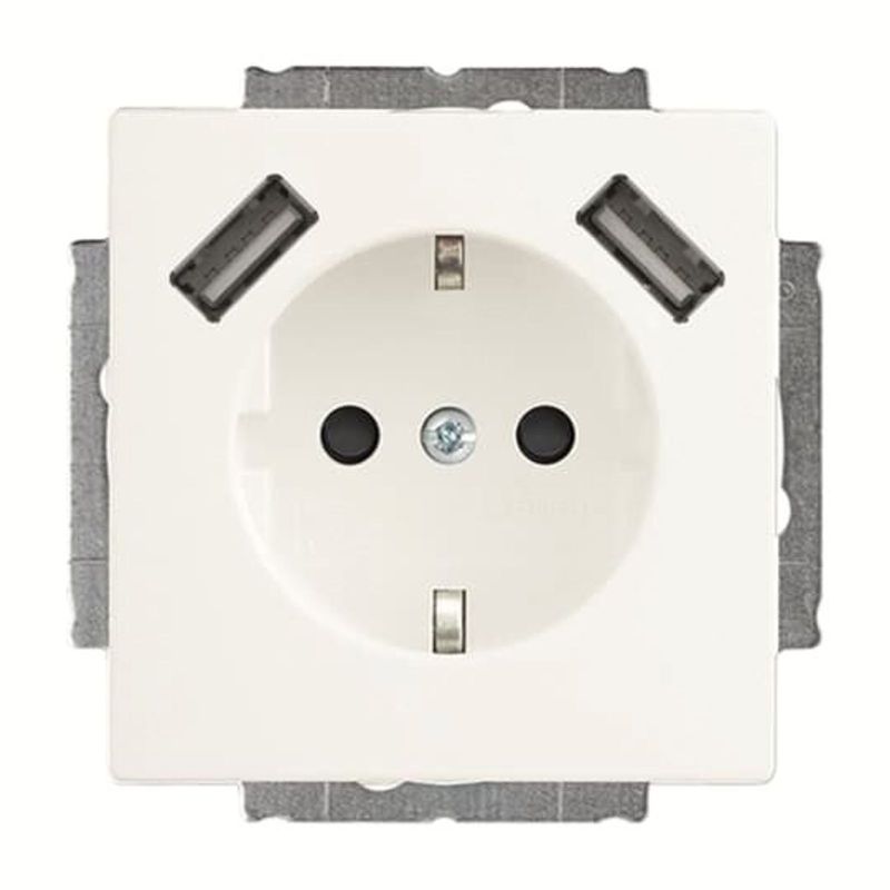 Busch-Jaeger 20 EUCB2USB-884 20 EUCB2USB-884 SCHUKO® 2x USB-Steckdose kaufen | Selfio