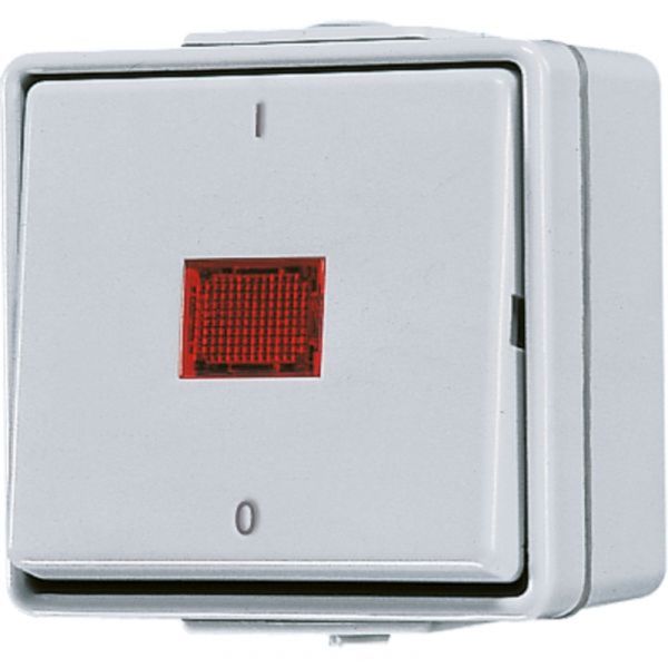 Jung Kontroll-Heizungsschalter glänzend AP 1-fach WG 600 602 KOW IP44 ...